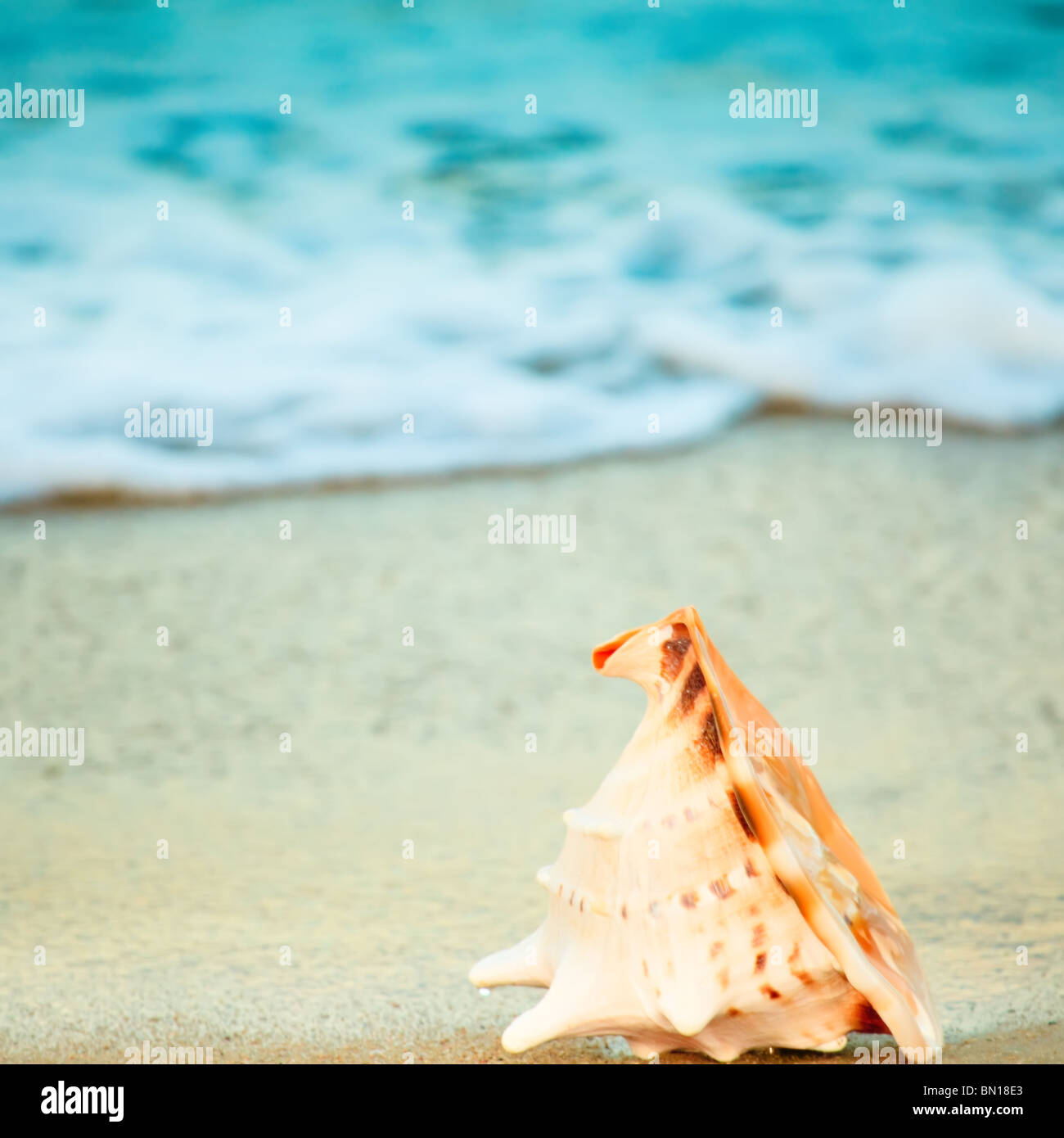 Shell cove tourism hi-res stock photography and images - Alamy