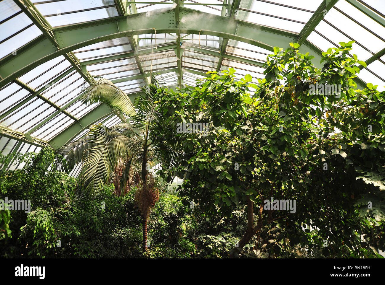 Greenhouse Paris Botanical Garden High Resolution Stock Photography and ...