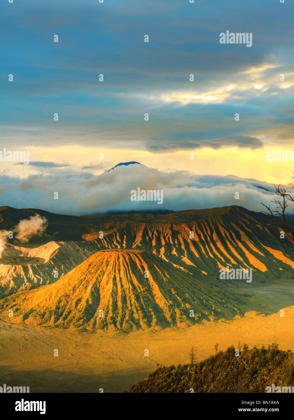 Bromo Tengger Semeru national park. Java. Indonesia Stock Photo - Alamy