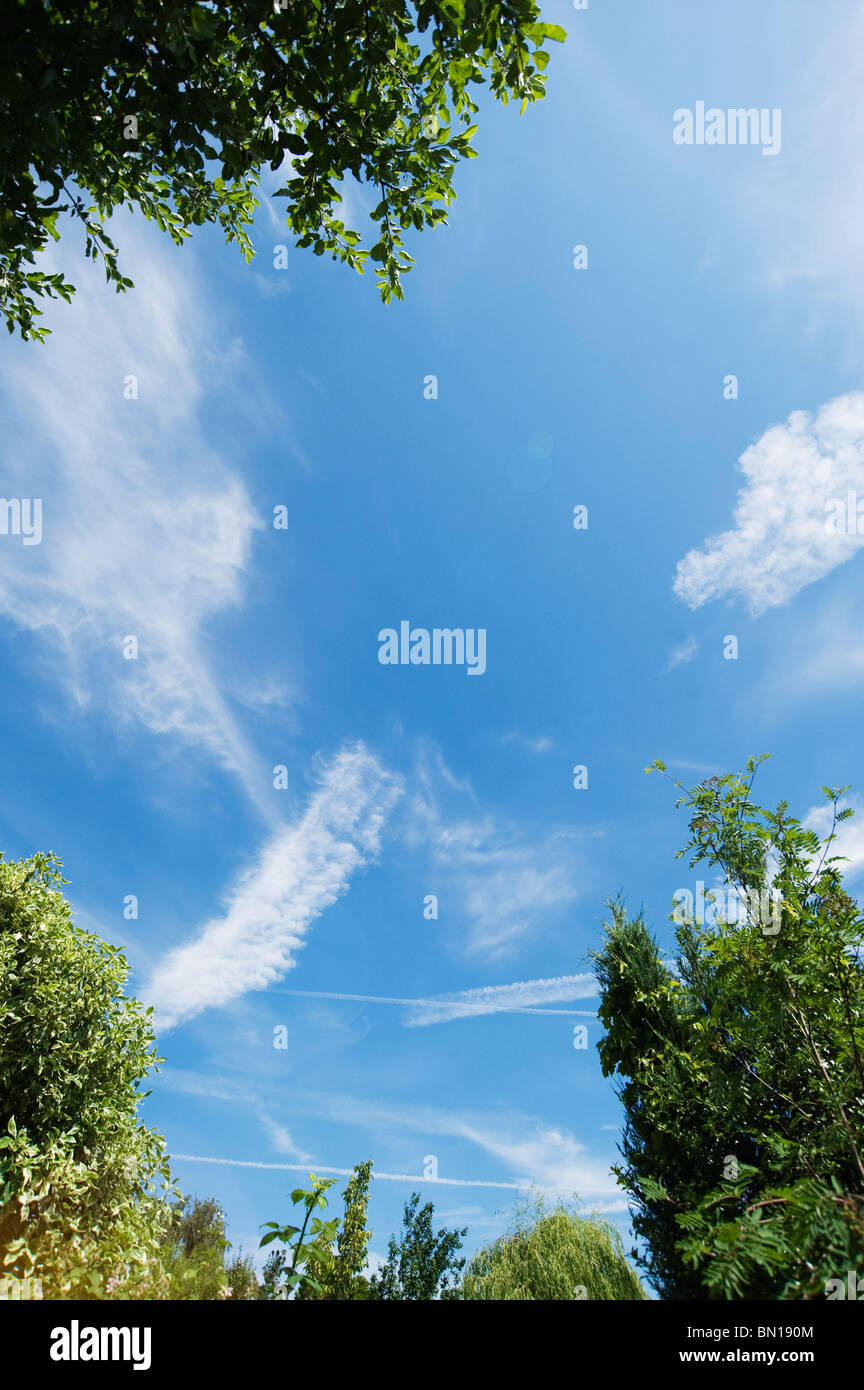 Summer backdrop hi-res stock photography and images - Alamy