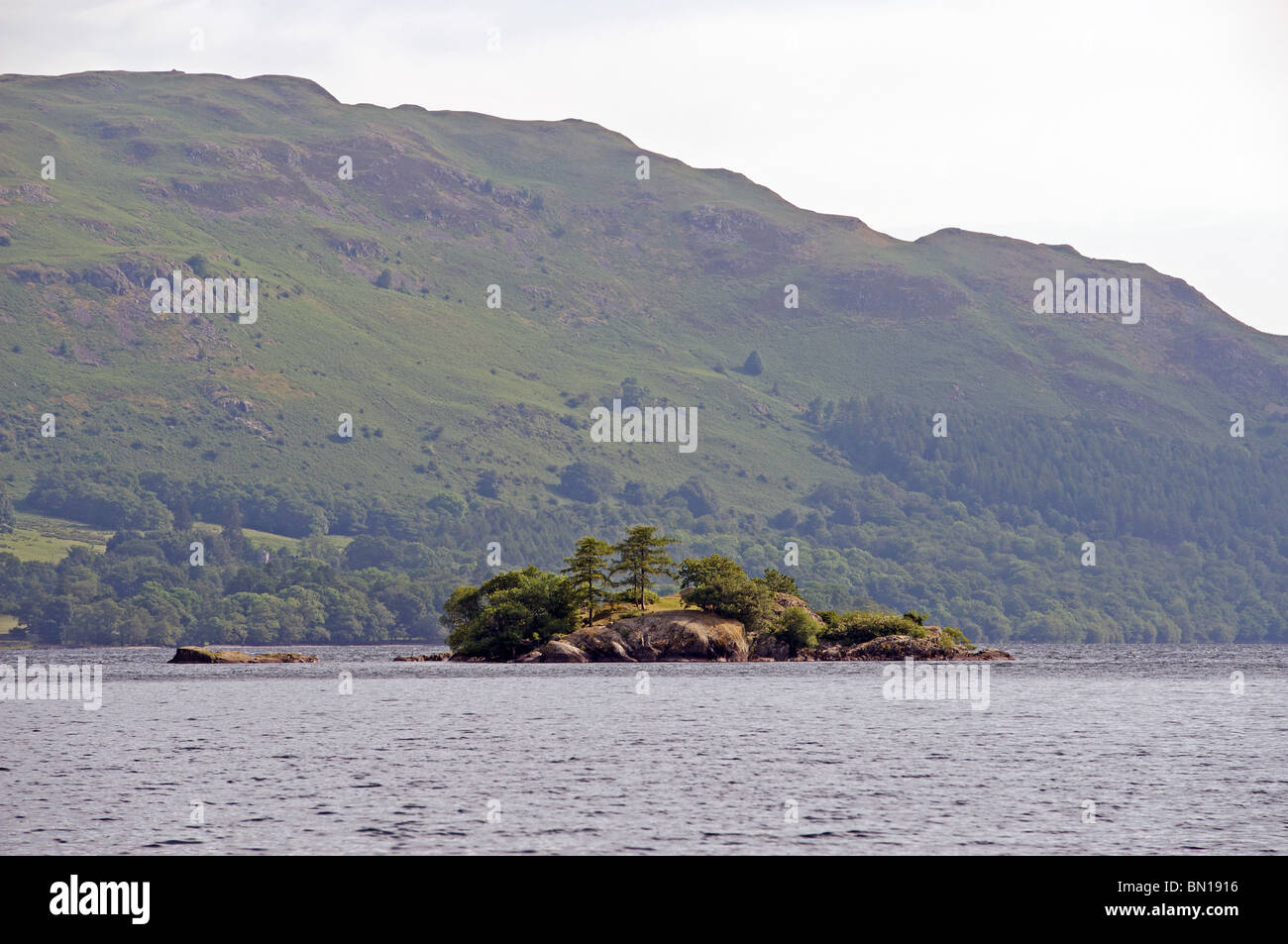 Small island on lake Windermere, Cumbria, England Stock Photo - Alamy