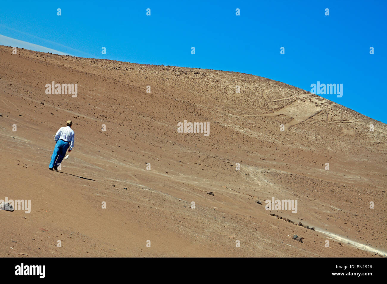 El Gigante de Atacama (the Giant of the Atacama), a geoglyph on Unitas ...