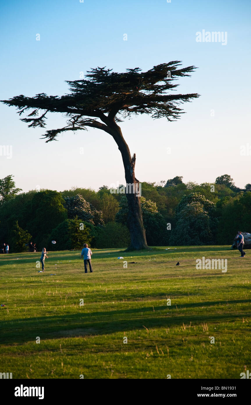 Watford leisure hi-res stock photography and images - Alamy