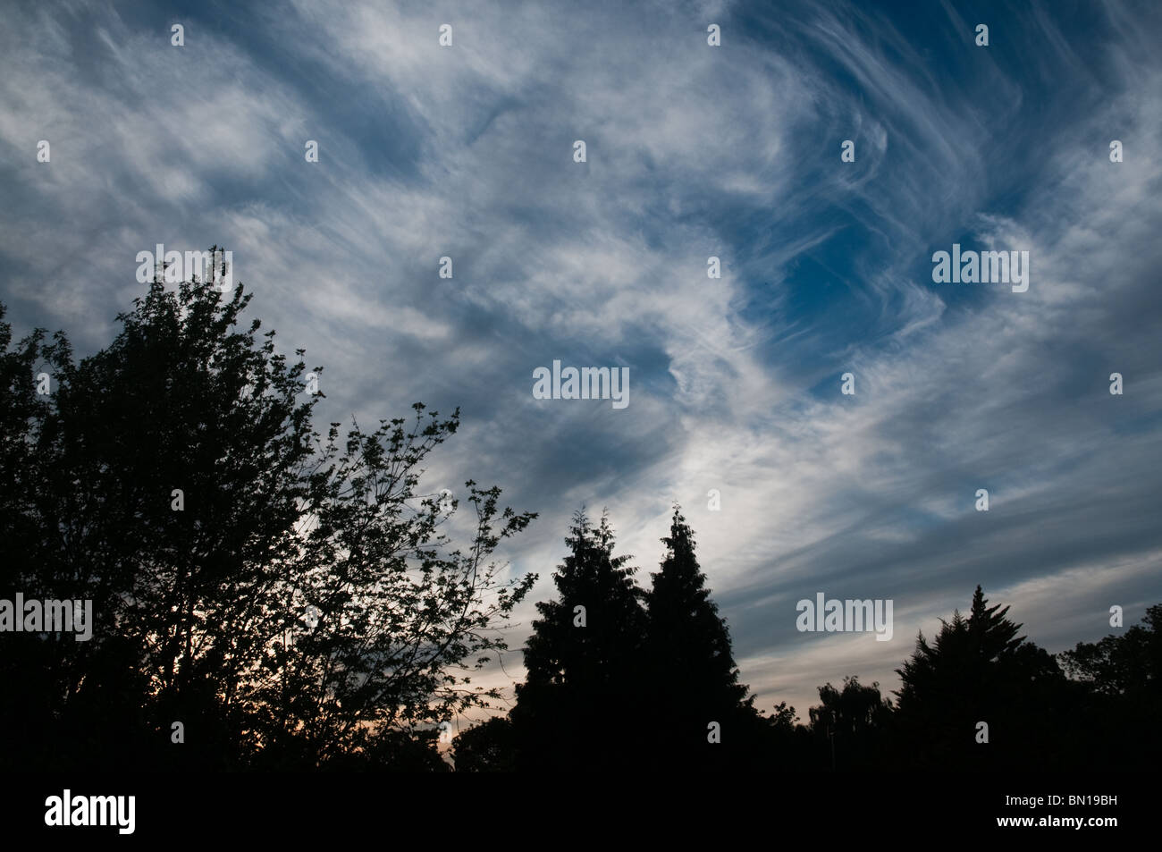 Tree blue sky wispy cloud clouds hi-res stock photography and images ...