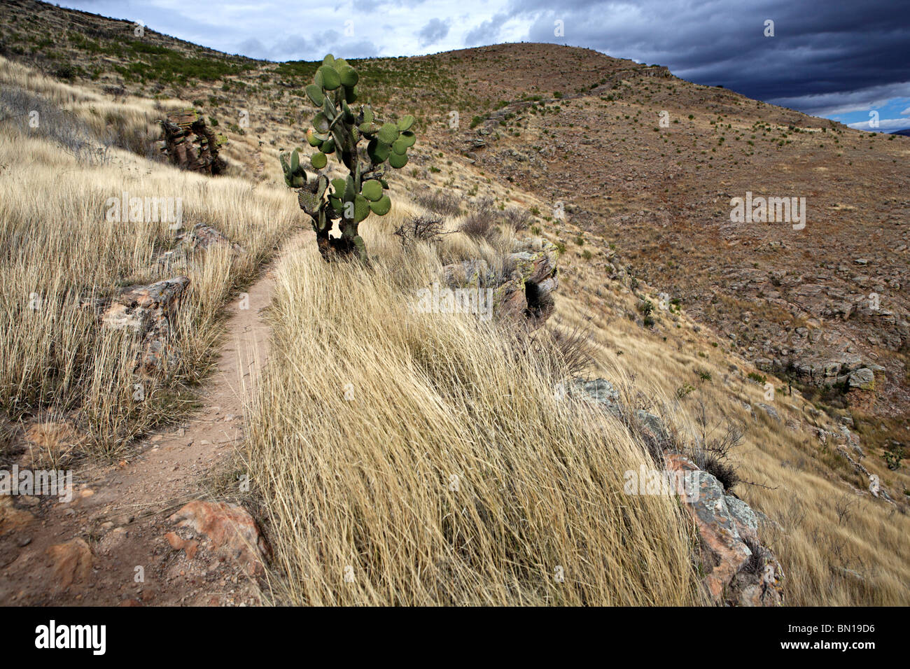 Ruins of Chicomostoc (circa 300-1200), La Quemada, state Zcatecas ...