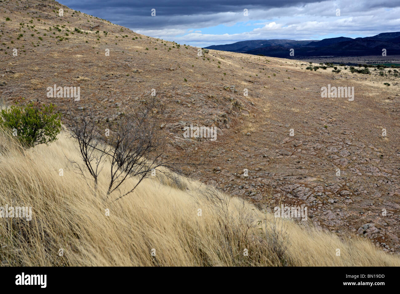 Ruins of Chicomostoc (circa 300-1200), La Quemada, state Zcatecas ...