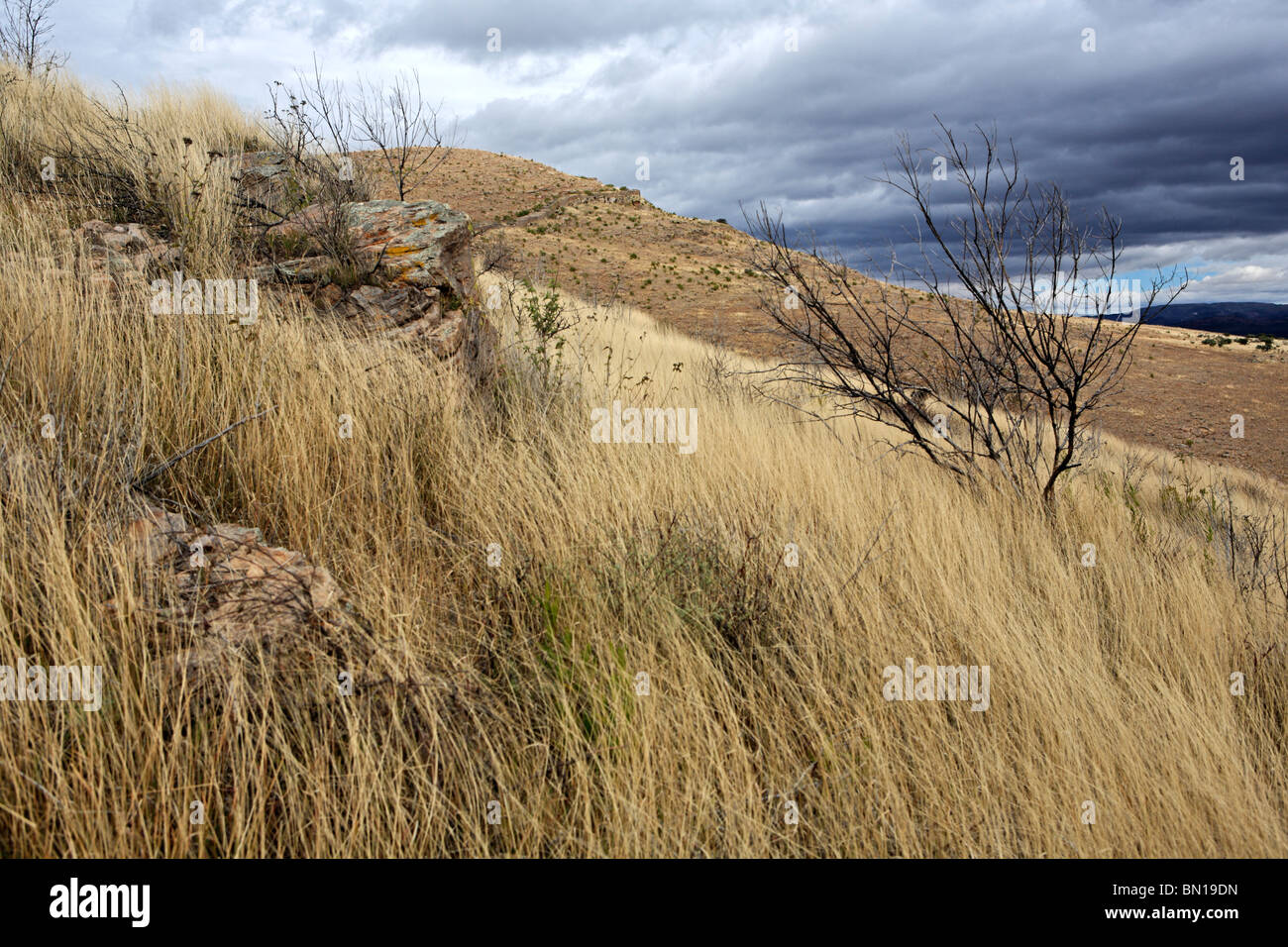 Ruins of Chicomostoc (circa 300-1200), La Quemada, state Zcatecas ...