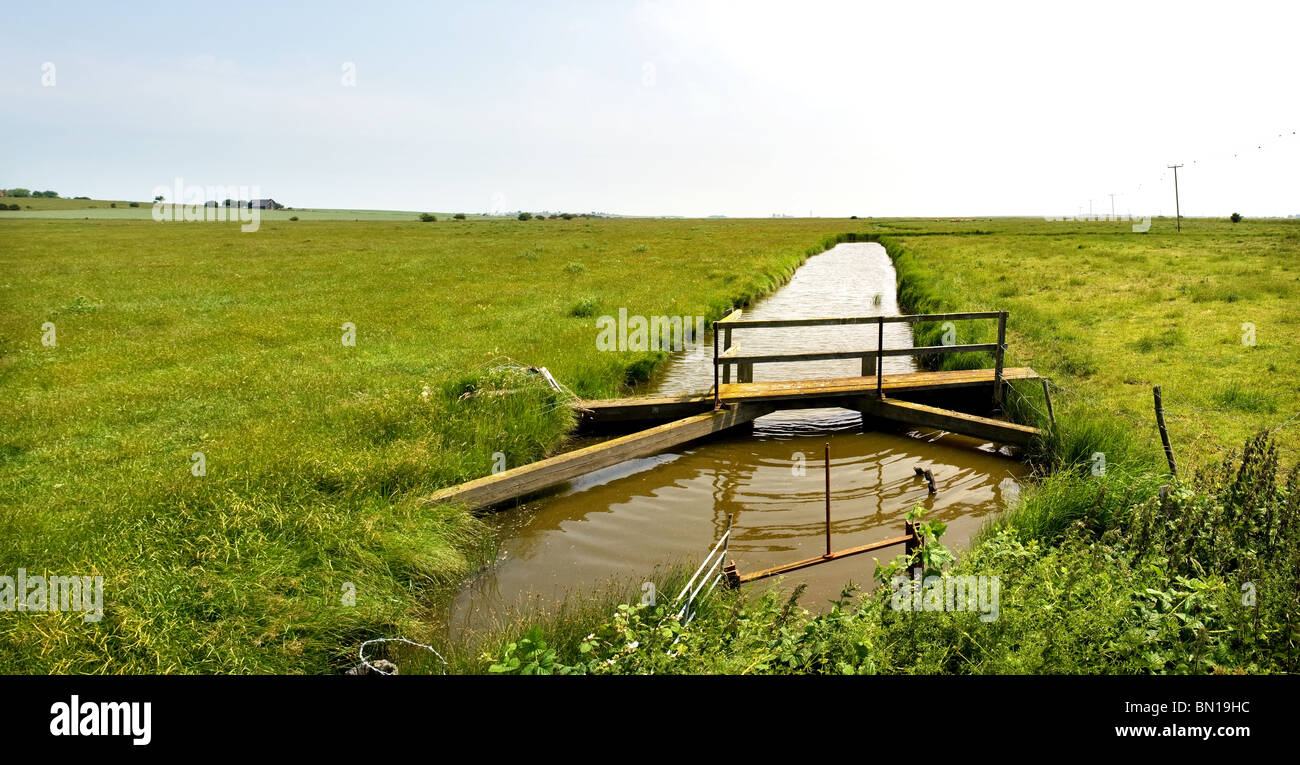 A drainage ditch in fields on the Isle of Sheppey in Kent. Photo by ...