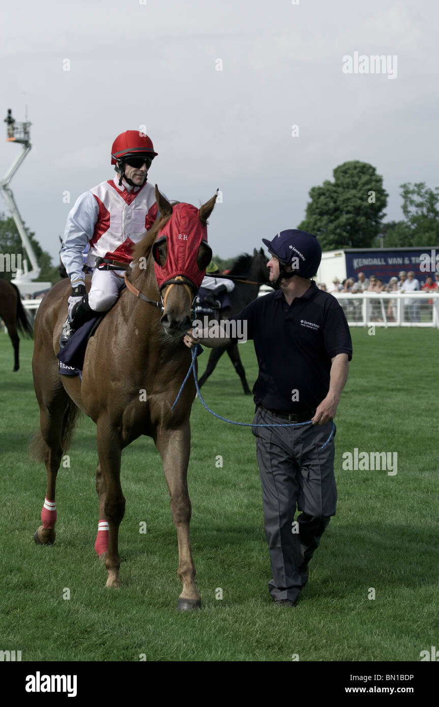 Racehorses being led to the starting gate at Epsom Downs Racecourse ...