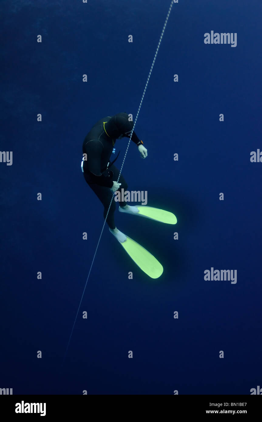 Freediving fins hi-res stock photography and images - Alamy