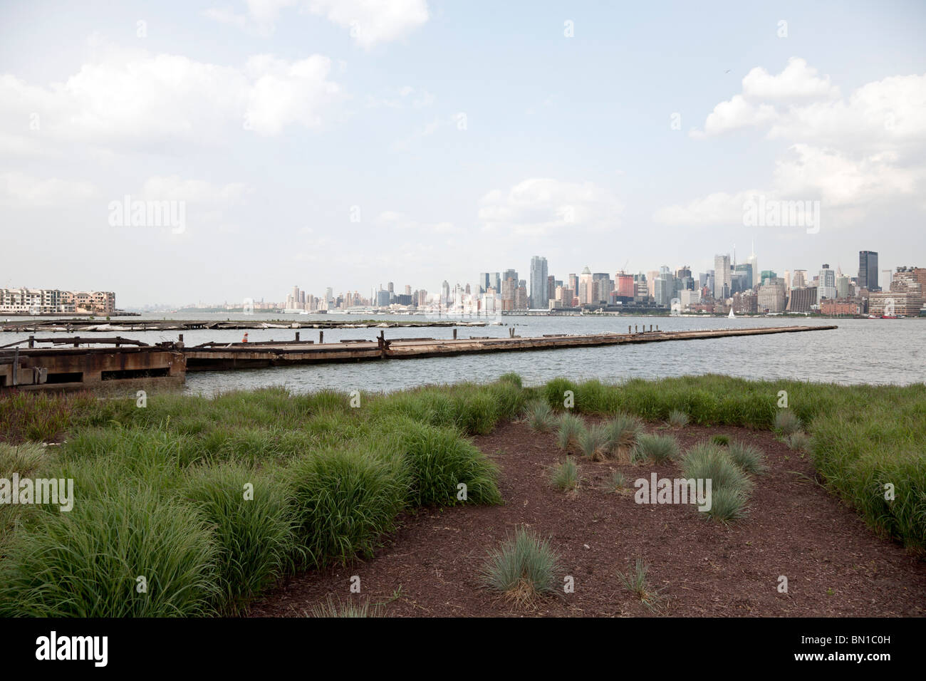 New york city water grasses hi-res stock photography and images - Alamy