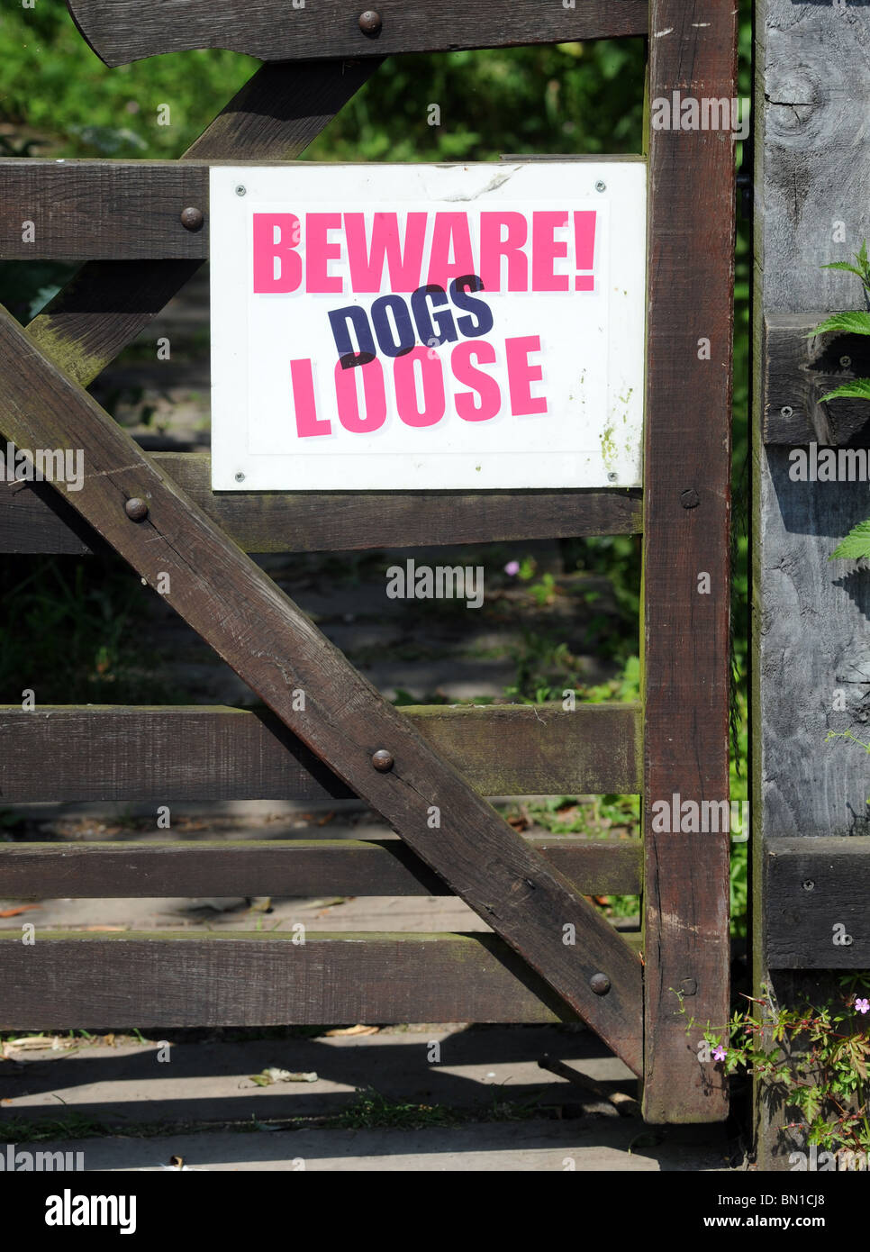"BEWARE DOGS LOOSE" SIGN ON GATE UK Stock Photo - Alamy