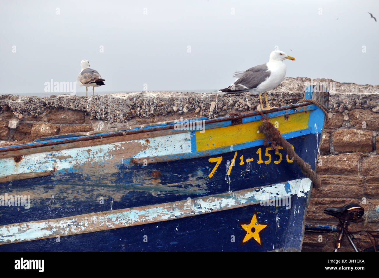 Seagull & Boat, Essaouira, Morocco Stock Photo - Alamy
