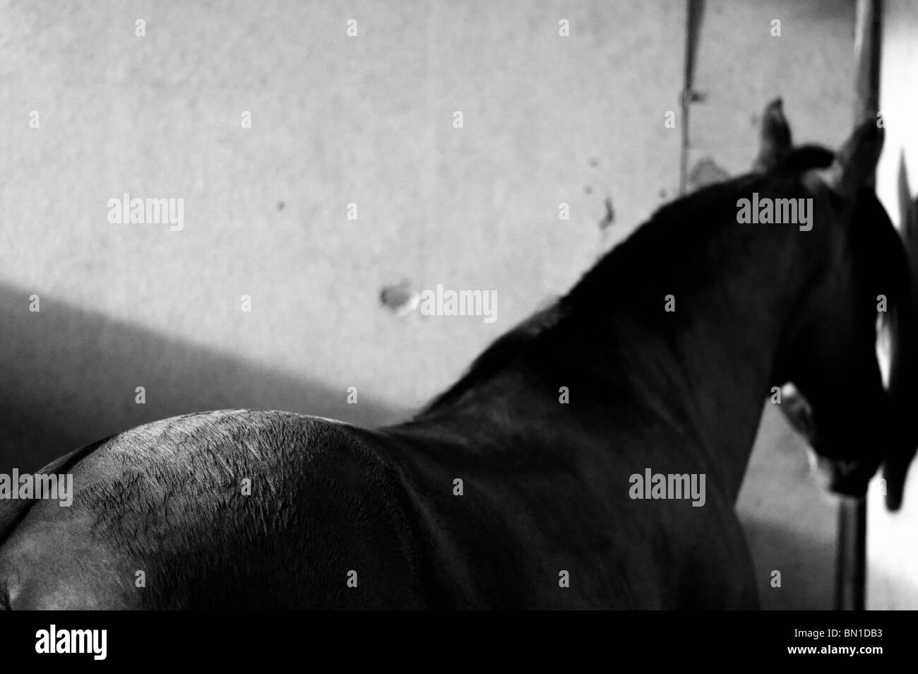 La sad Black and White Stock Photos & Images - Alamy