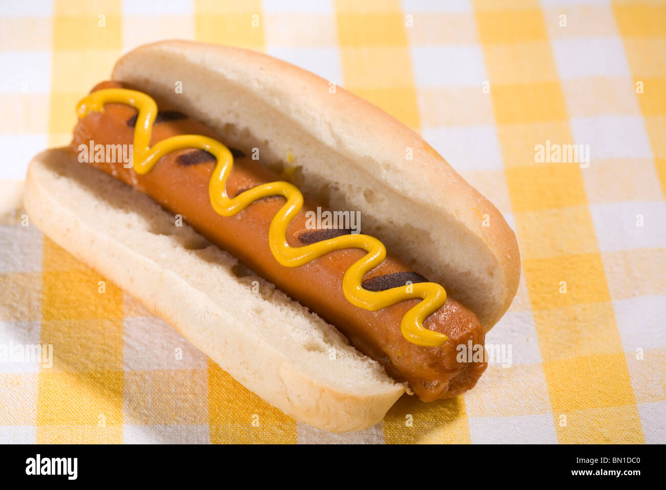 Wiener Dogs In Hot Dog Buns