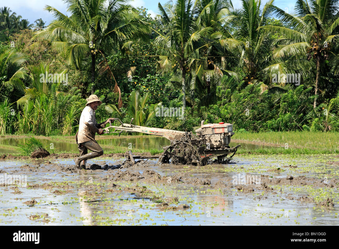 Tractor plowing rice paddy hi-res stock photography and images - Alamy