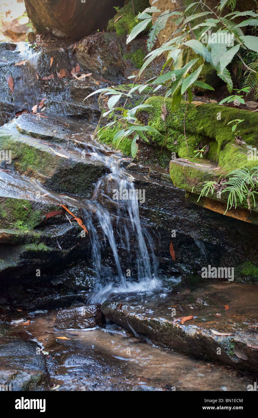 little waterfall cascade in the garden Stock Photo - Alamy