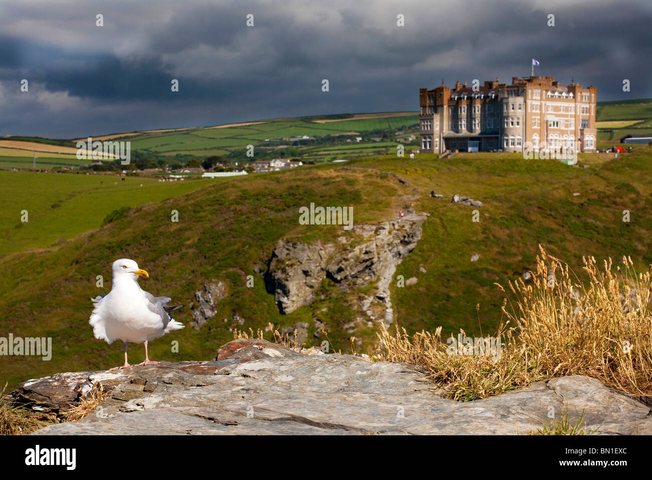 Hotel Camelot, Tintagel, Cornwall, England, Great Britain Stock Photo ...
