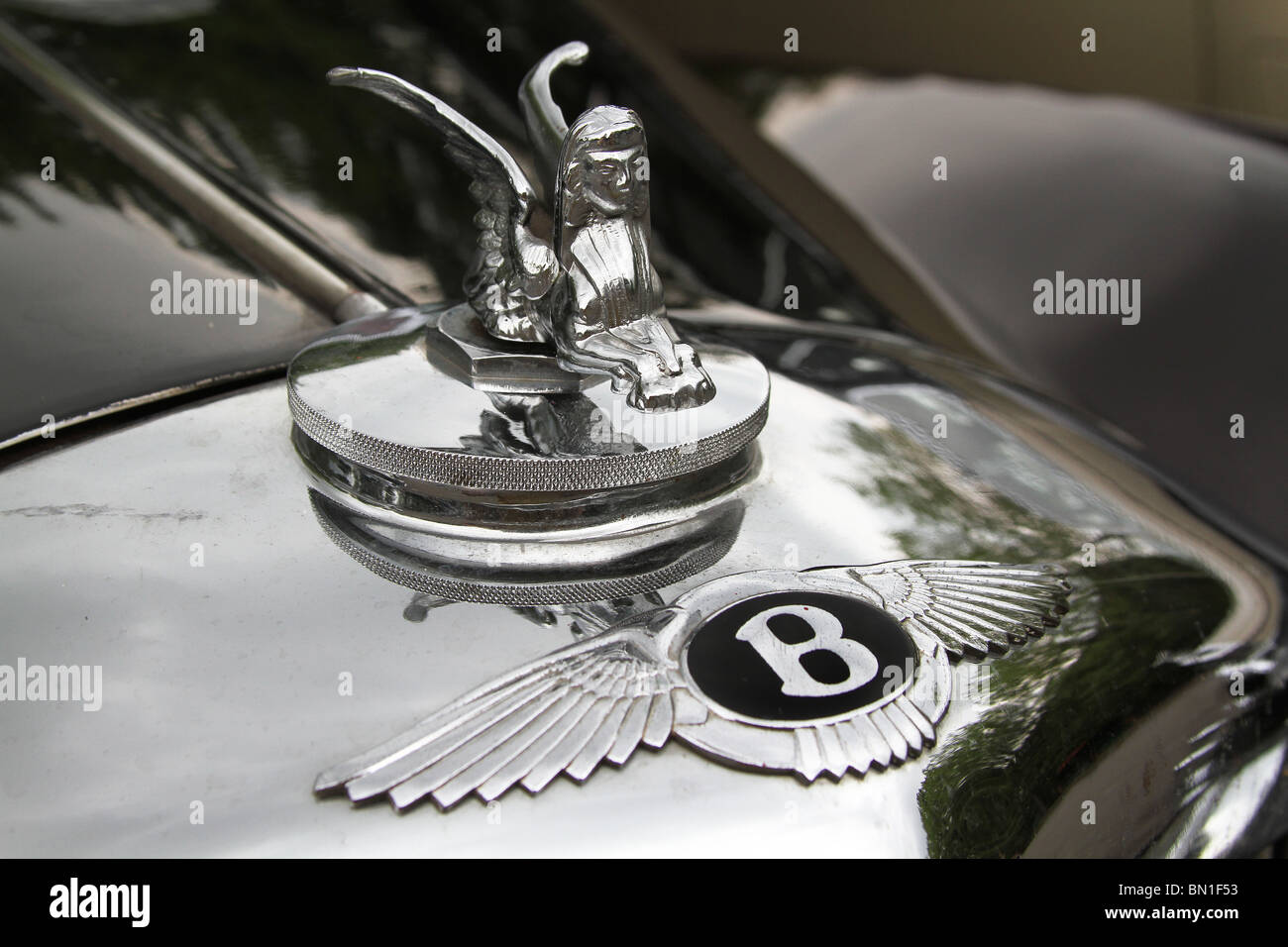 Bentley bonnet mascot Stock Photo - Alamy