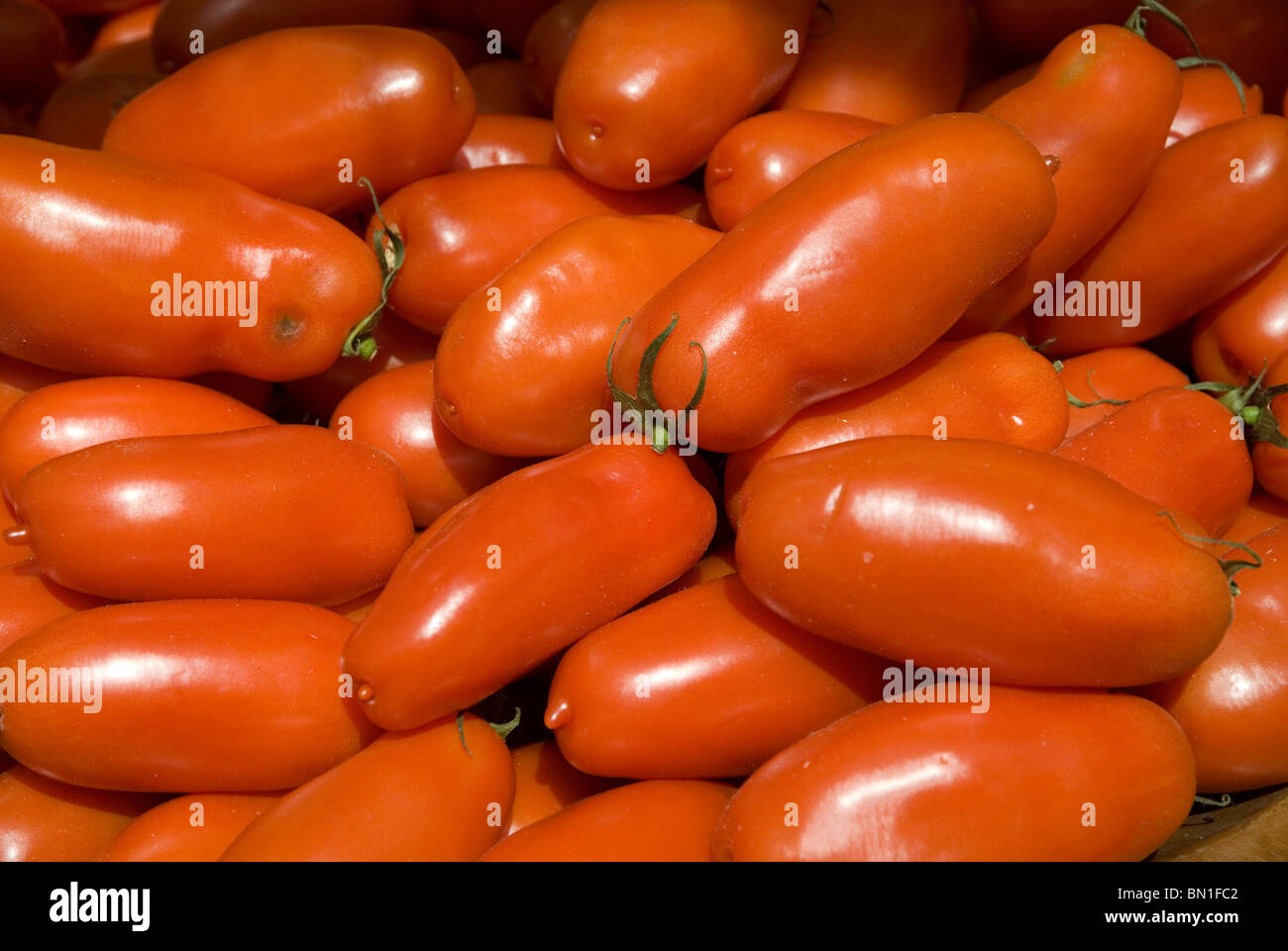 Seven tomatoes hi-res stock photography and images - Alamy