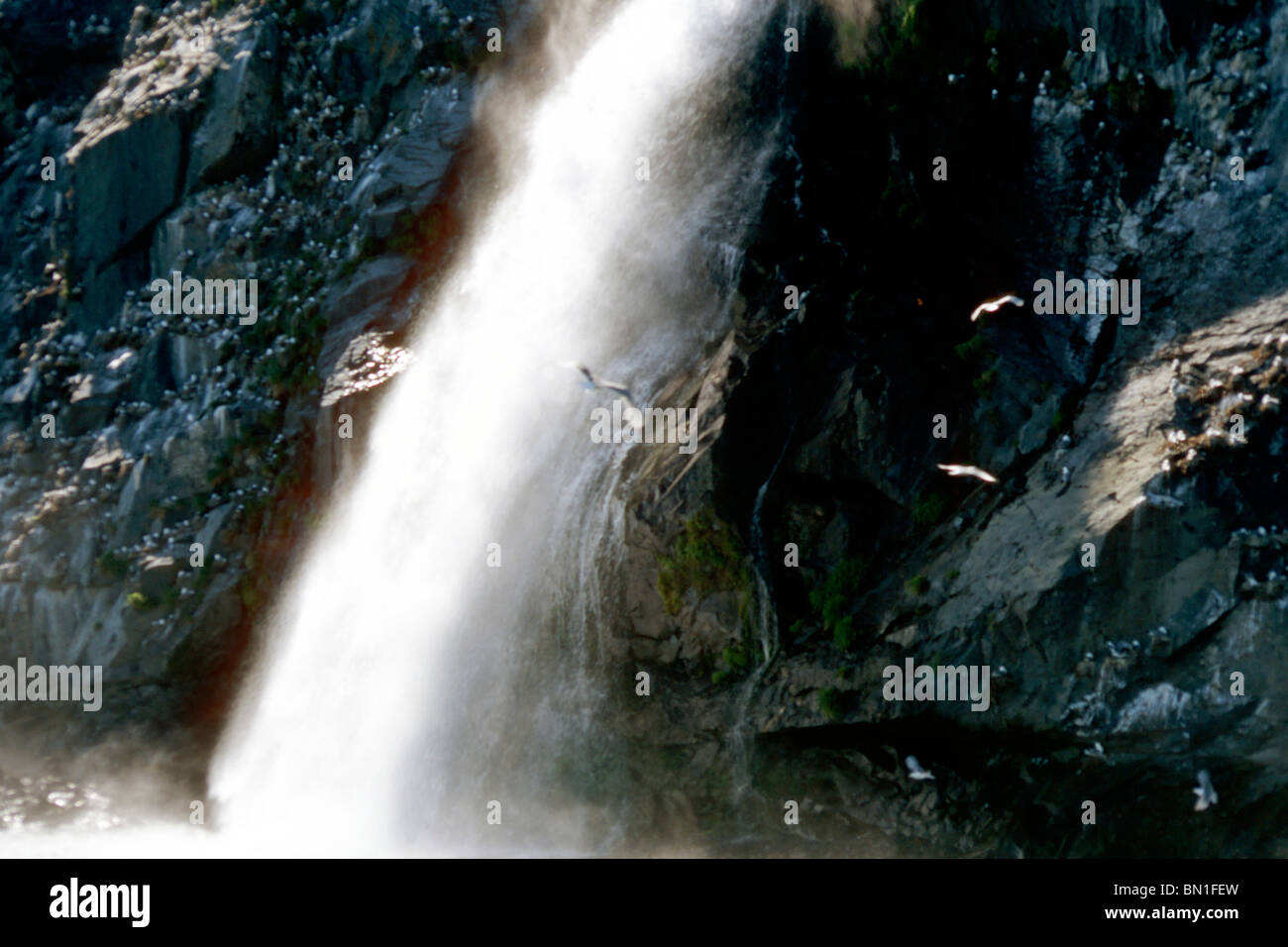 Resurrection Bay, Alaska, North America, USA Stock Photo - Alamy