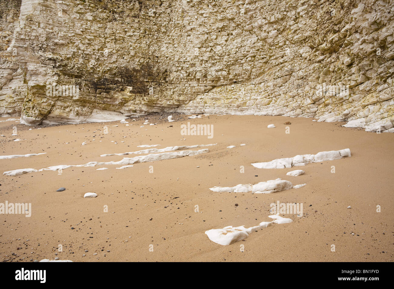 Chalk cliff formations and bolders at Selwicks Bay Flamborough Head in ...