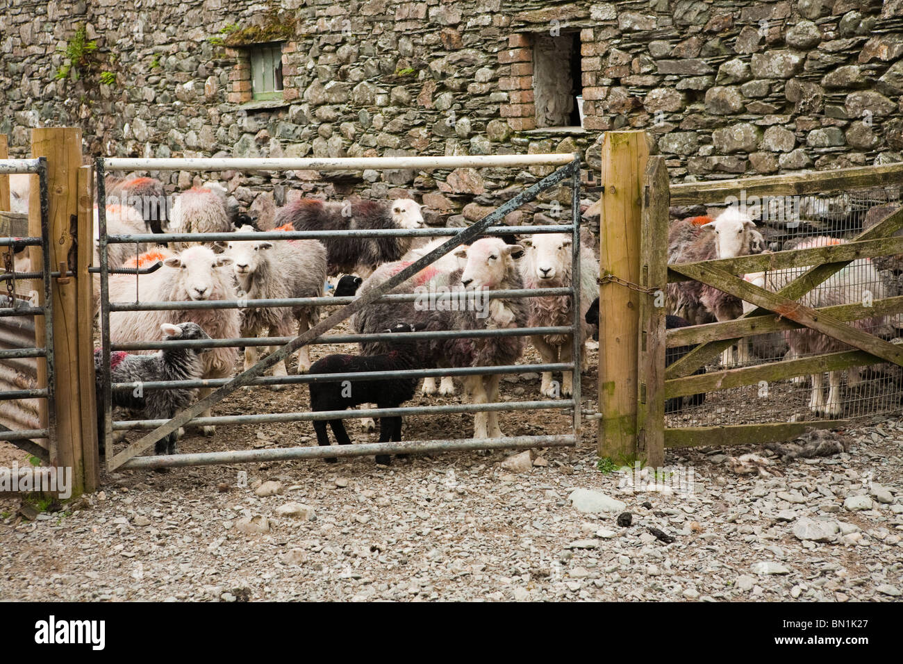 Buttermere gatesgarth farm hi-res stock photography and images - Alamy