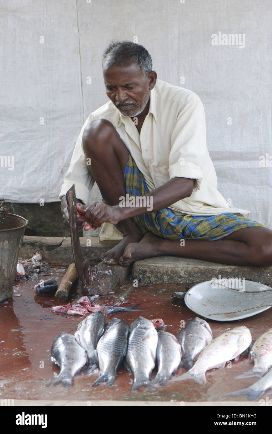 Indian fishmonger hi-res stock photography and images - Alamy