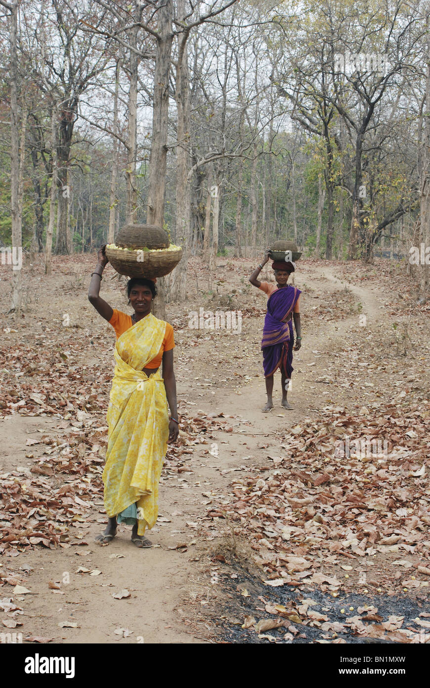 Gond Tribal People High Resolution Stock Photography and Images - Alamy