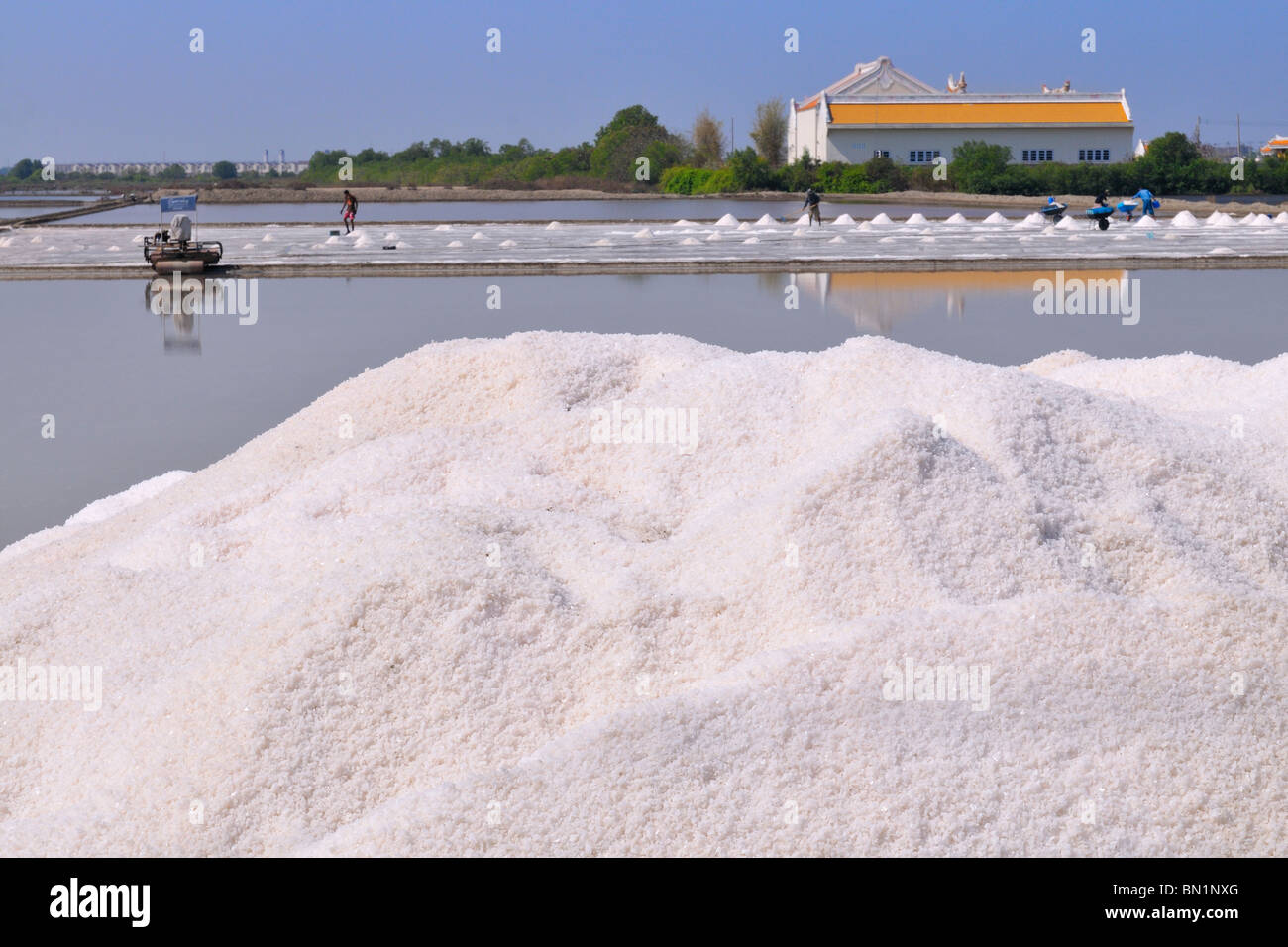 Field working farming thailand brine hi-res stock photography and ...