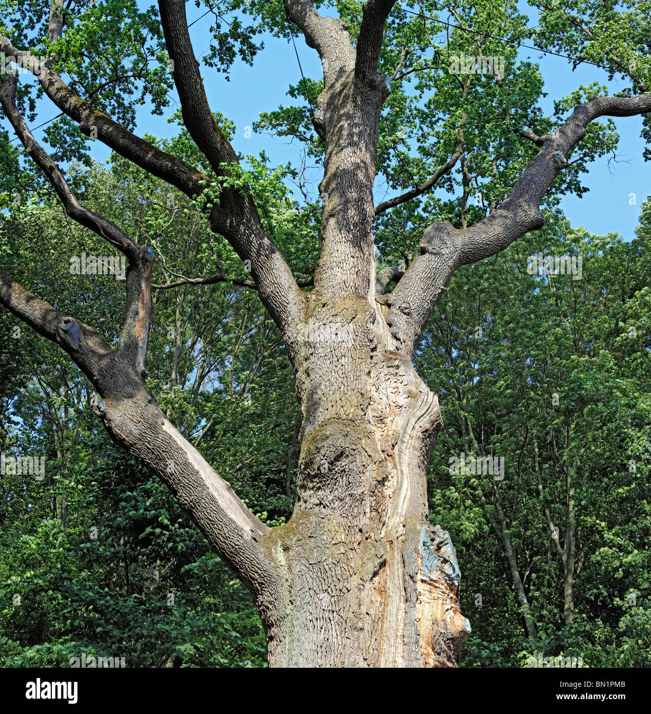 2000 years hi-res stock photography and images - Alamy