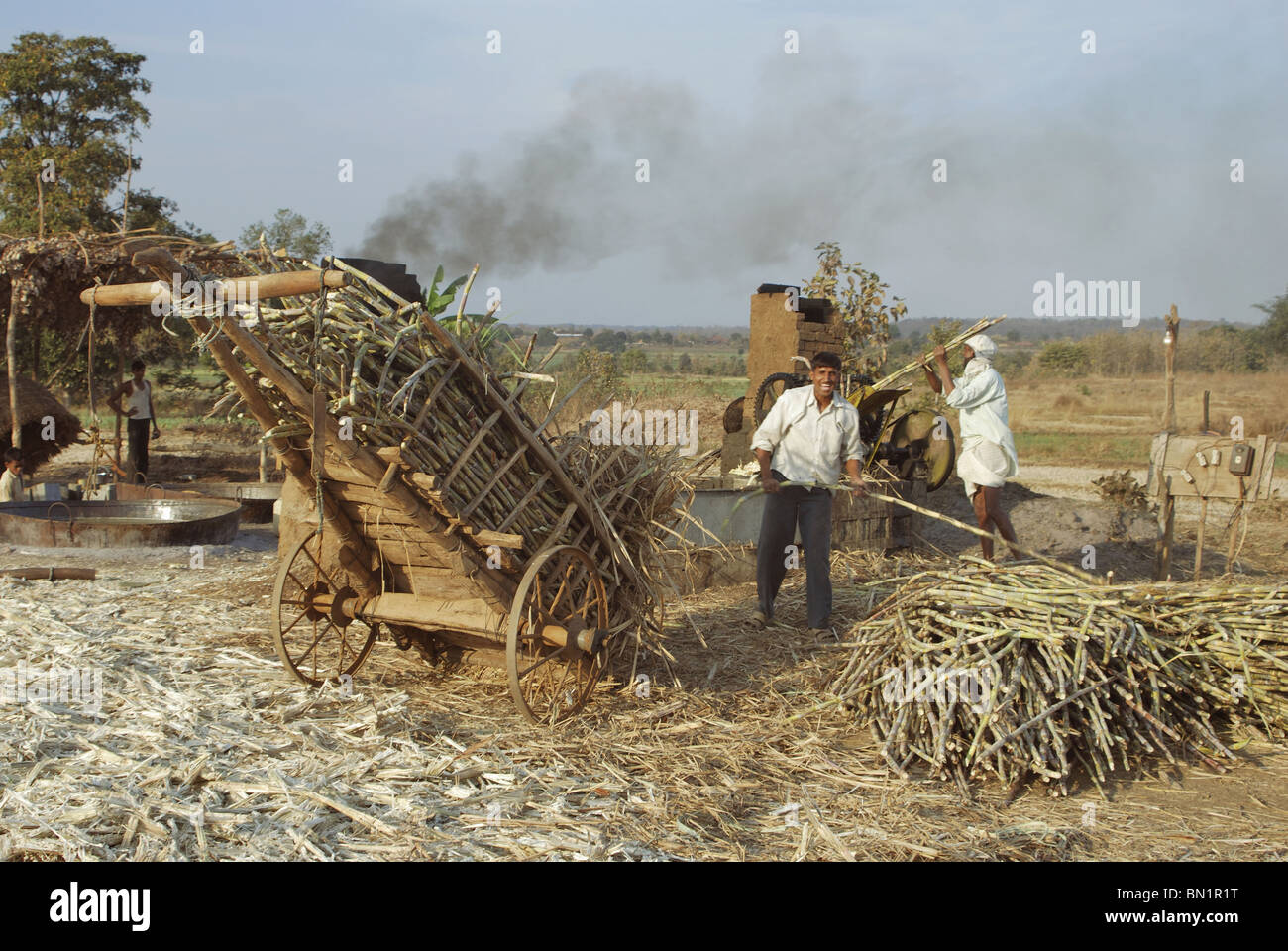 Semi automated jaggery making in Madhya Pradesh Stock Photo - Alamy