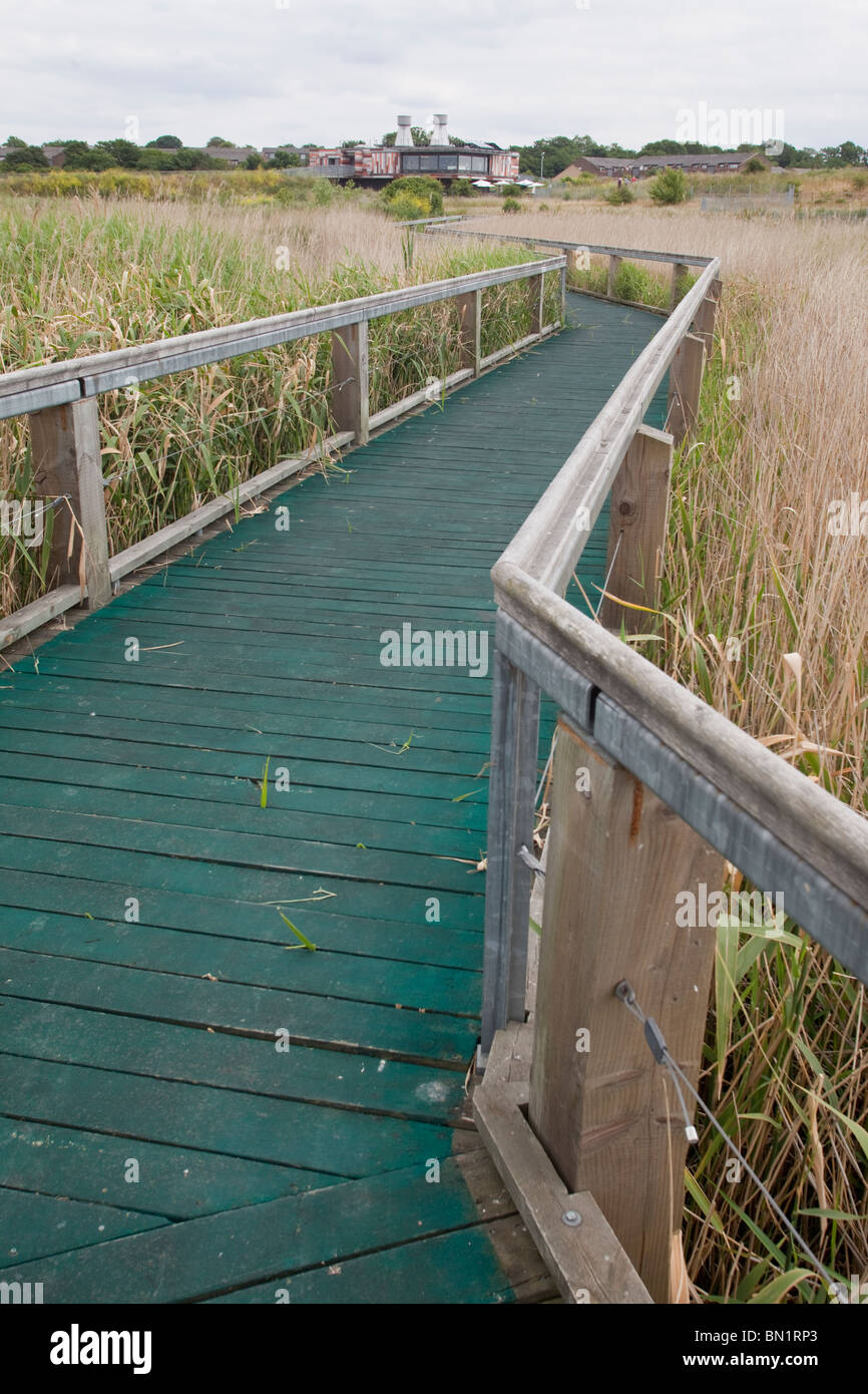 Rainham marshes rspb nature reserve hi-res stock photography and images ...