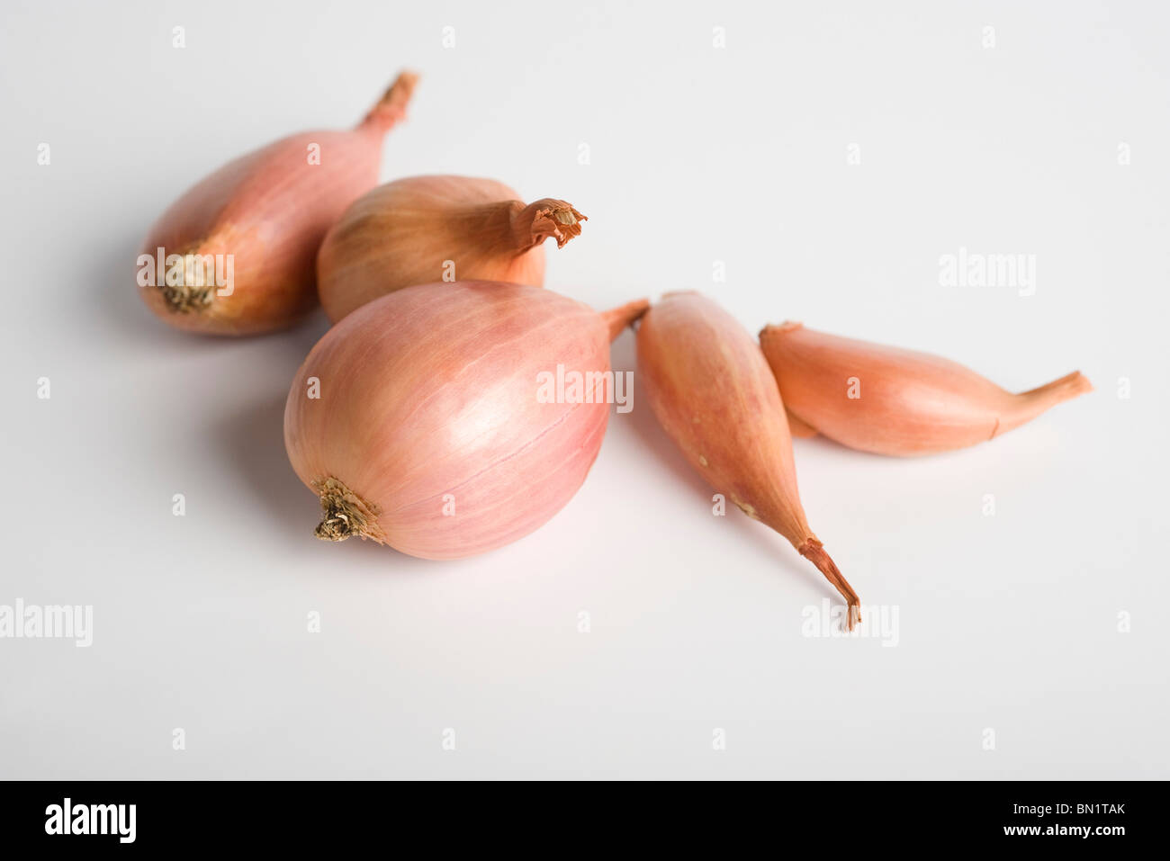 One shallot clove hi-res stock photography and images - Alamy