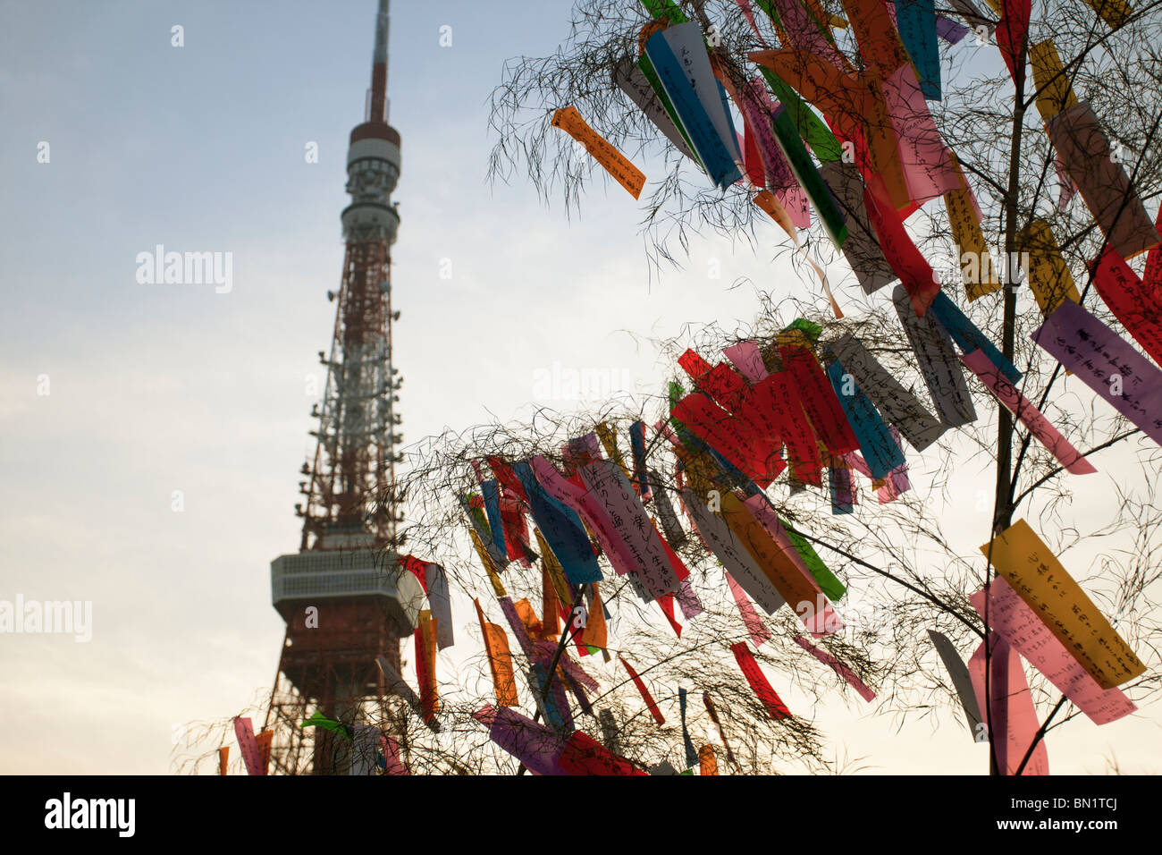 Tanabata Tree