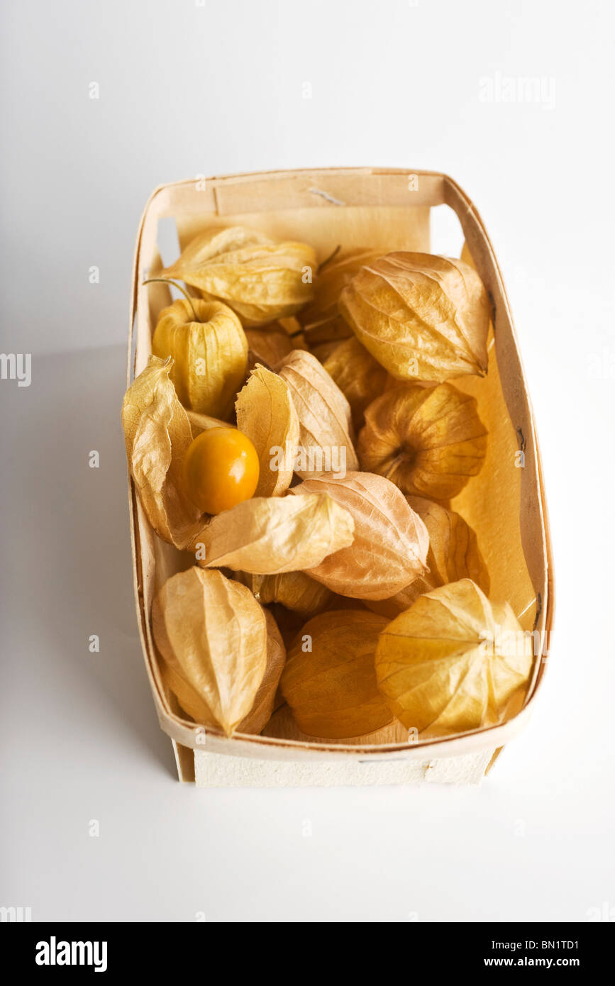 Giant peruvian groundcherry hi-res stock photography and images - Alamy