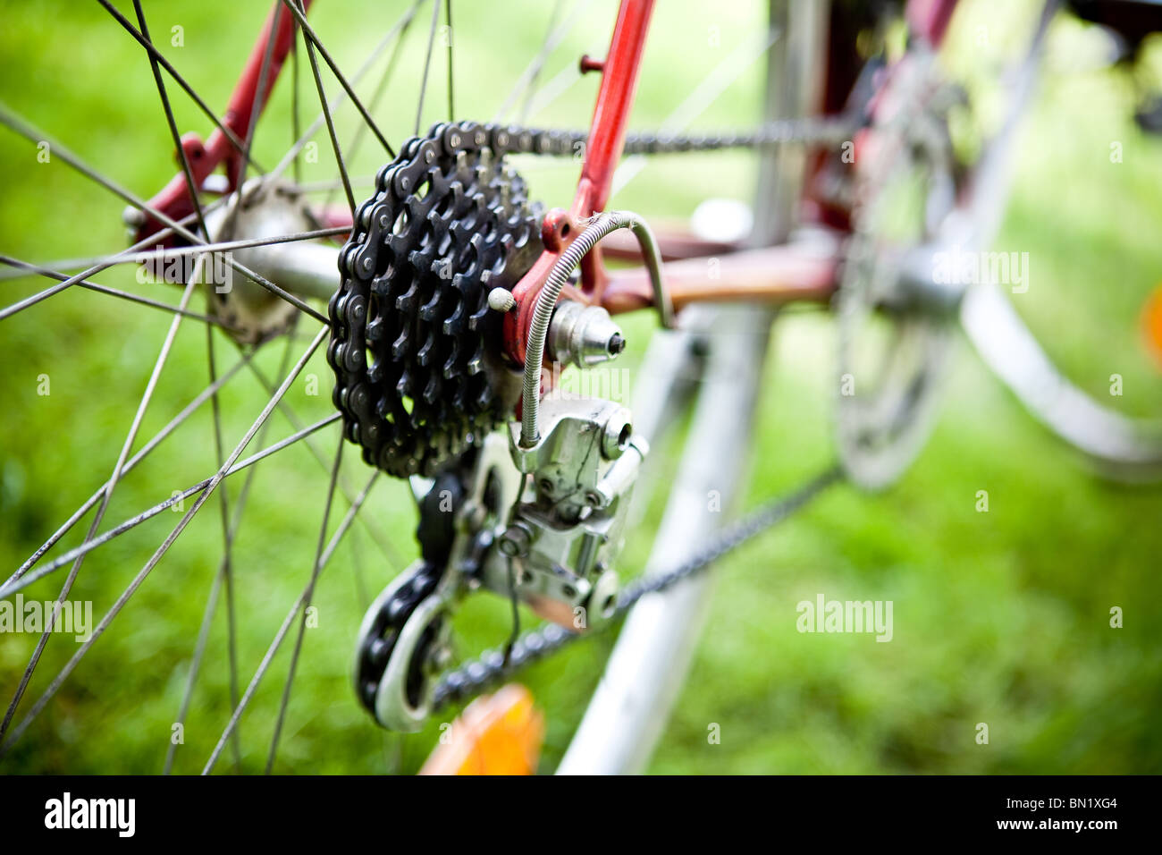 Rear racing bike wheel on the wheel with chain Stock Photo - Alamy