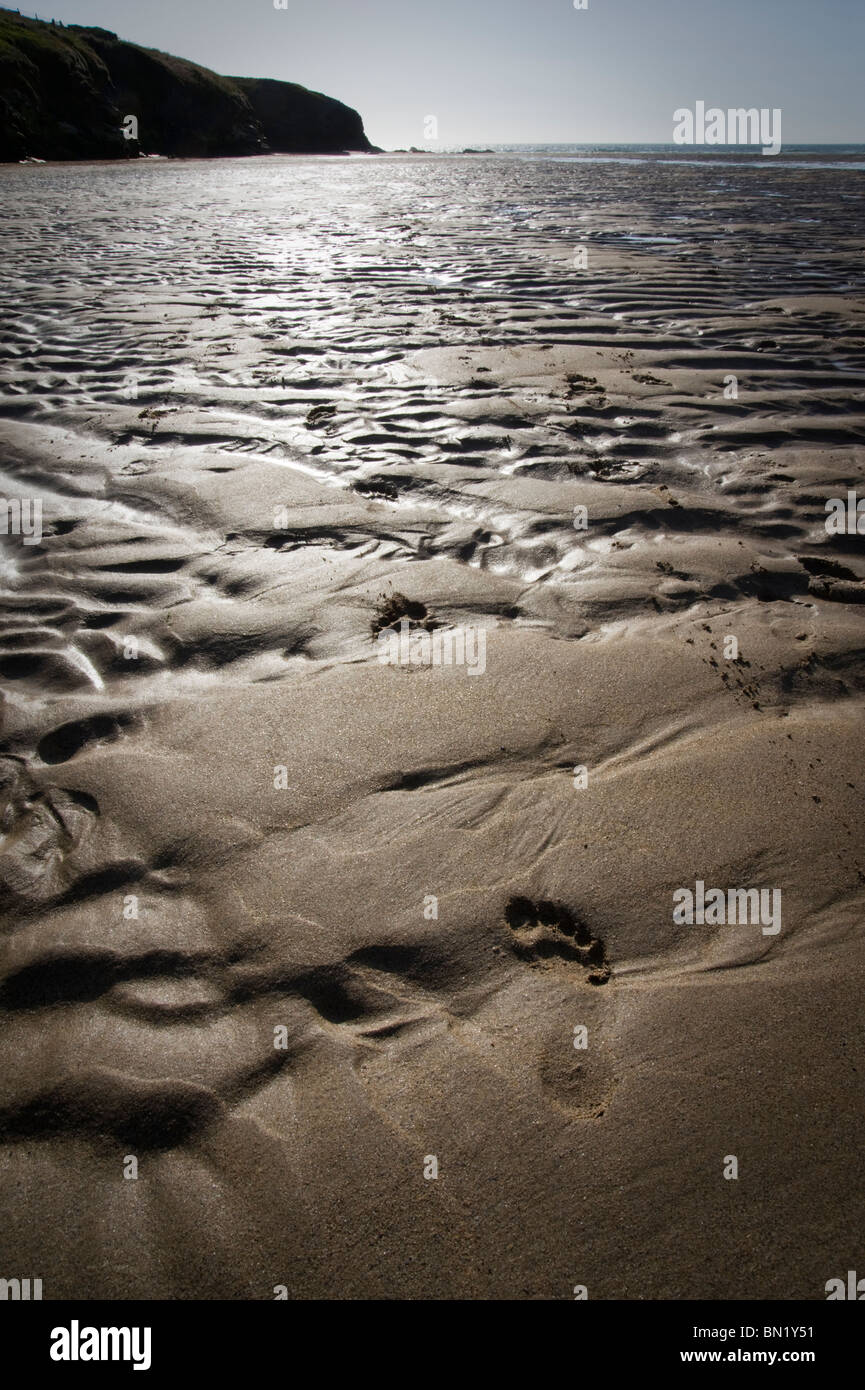 High contrast picture of patterns and footprint in the sand at ...