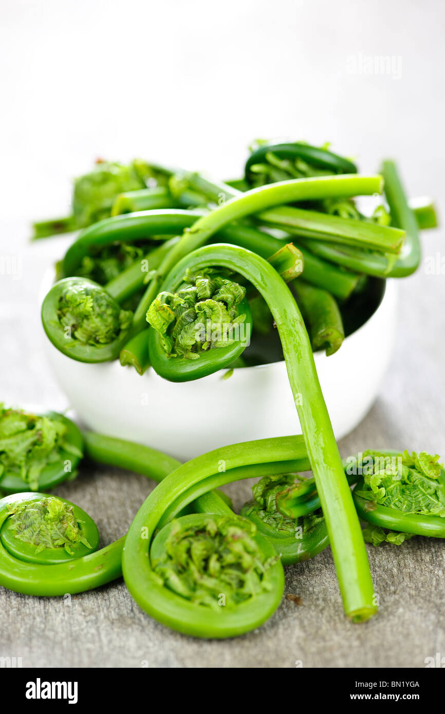 Fiddleheads hi-res stock photography and images - Alamy