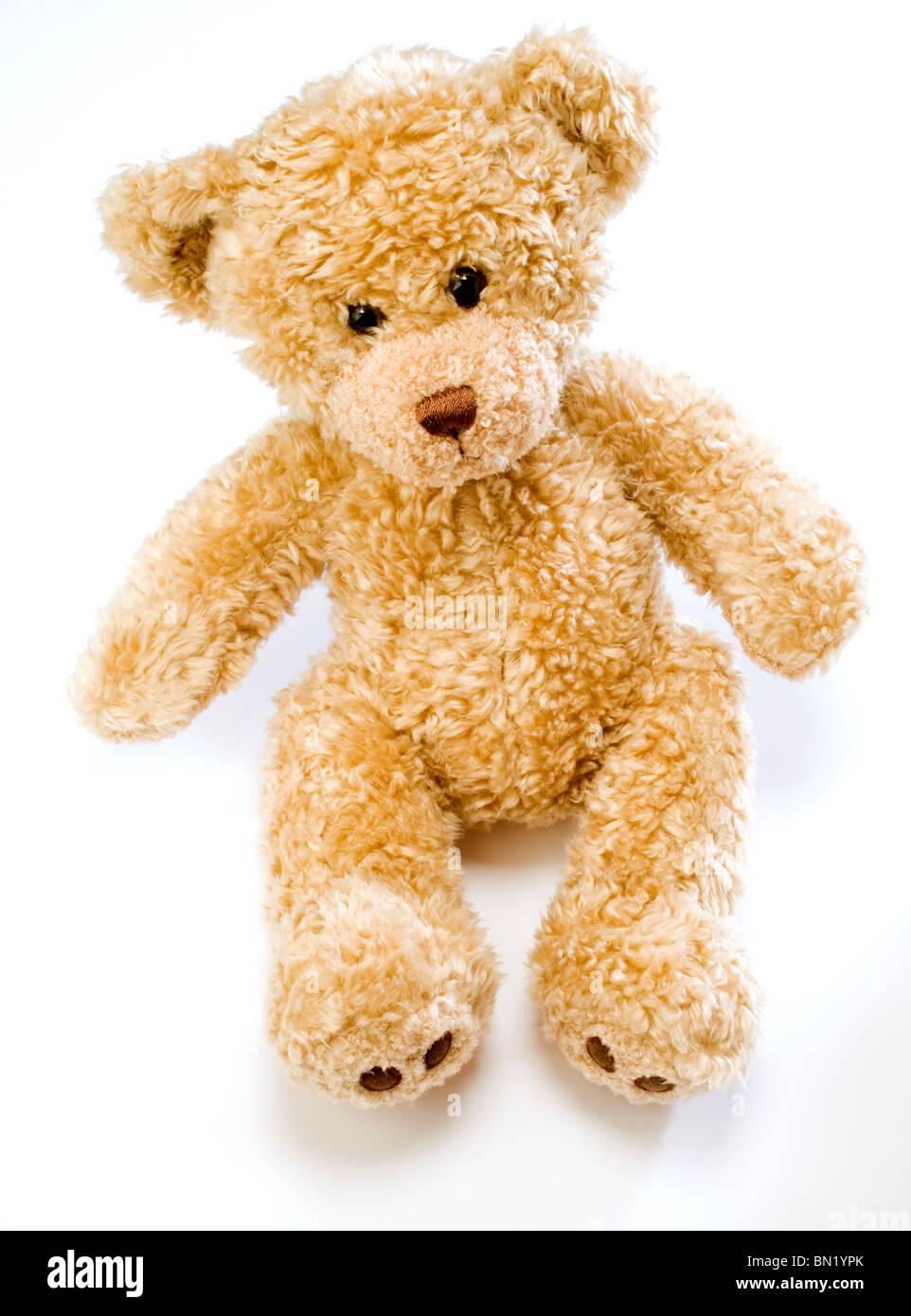 teddy bear, cuddly toy, soft toy,companion,childhood,bear Stock Photo ...
