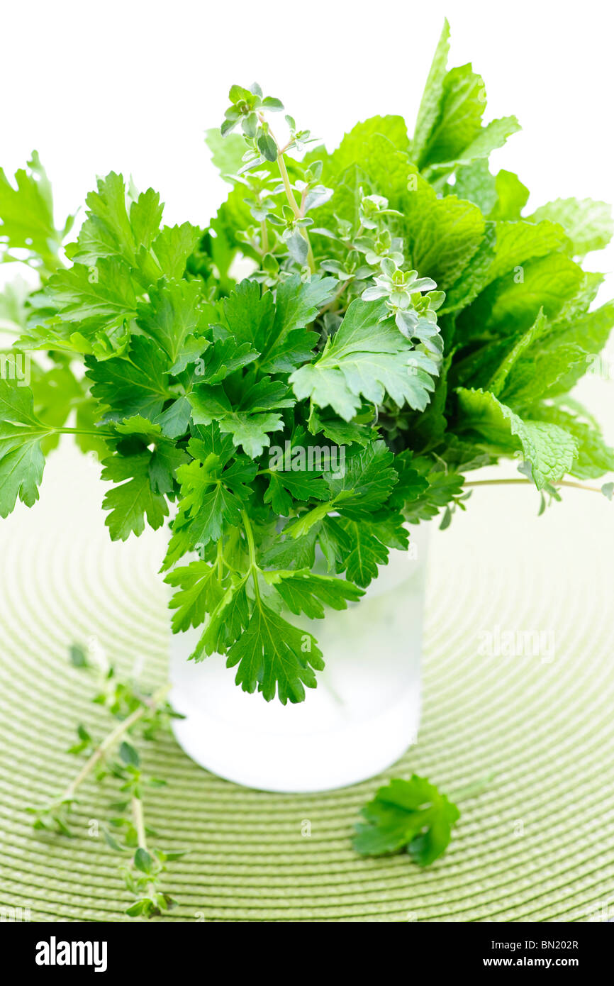 Leaf assortment in water hi-res stock photography and images - Alamy