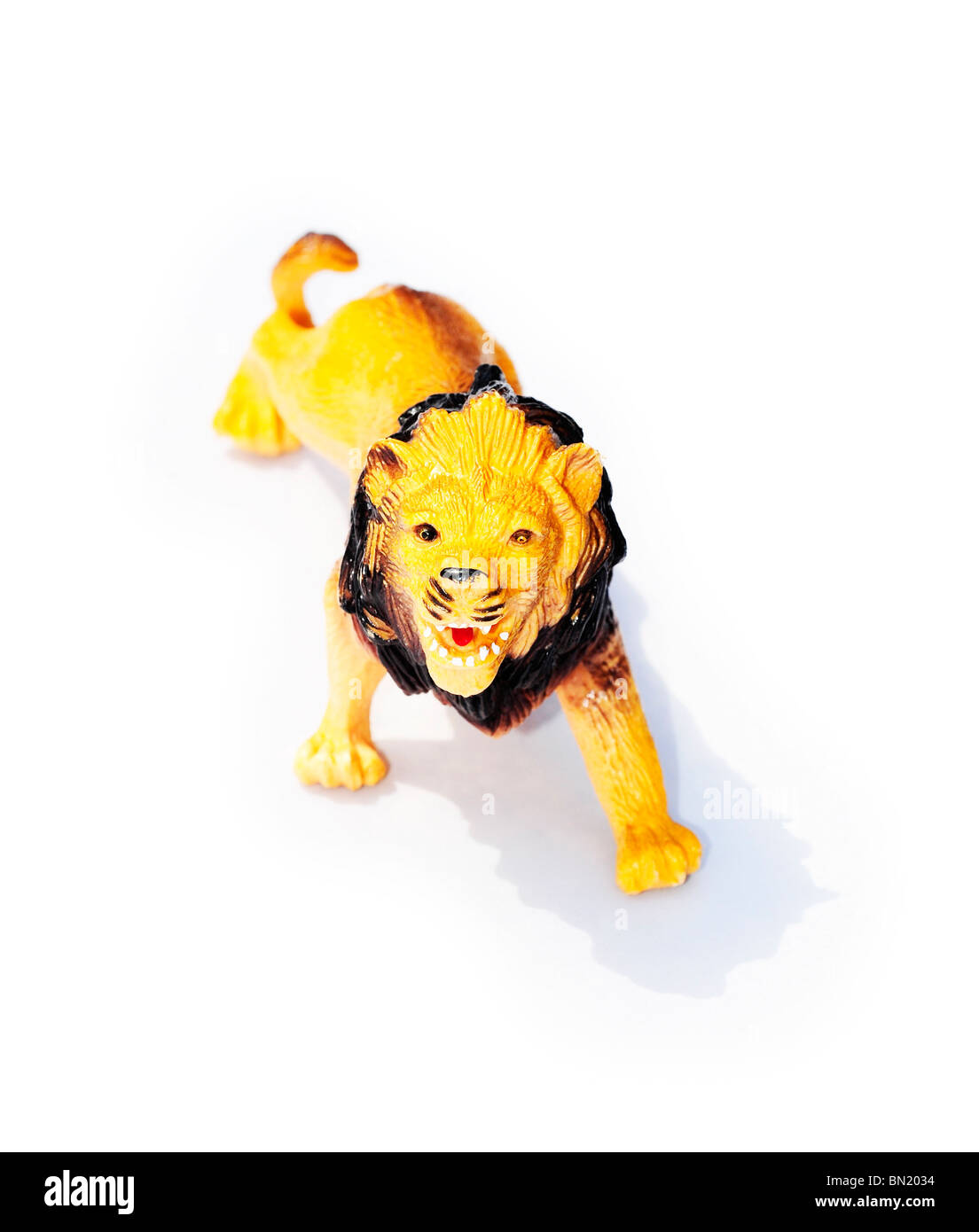 Lion King Still High Resolution Stock Photography and Images - Alamy