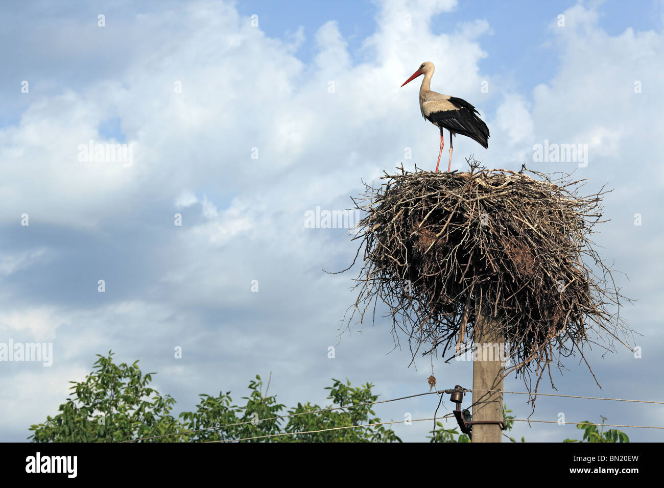Stork nest ukraine hi-res stock photography and images - Alamy