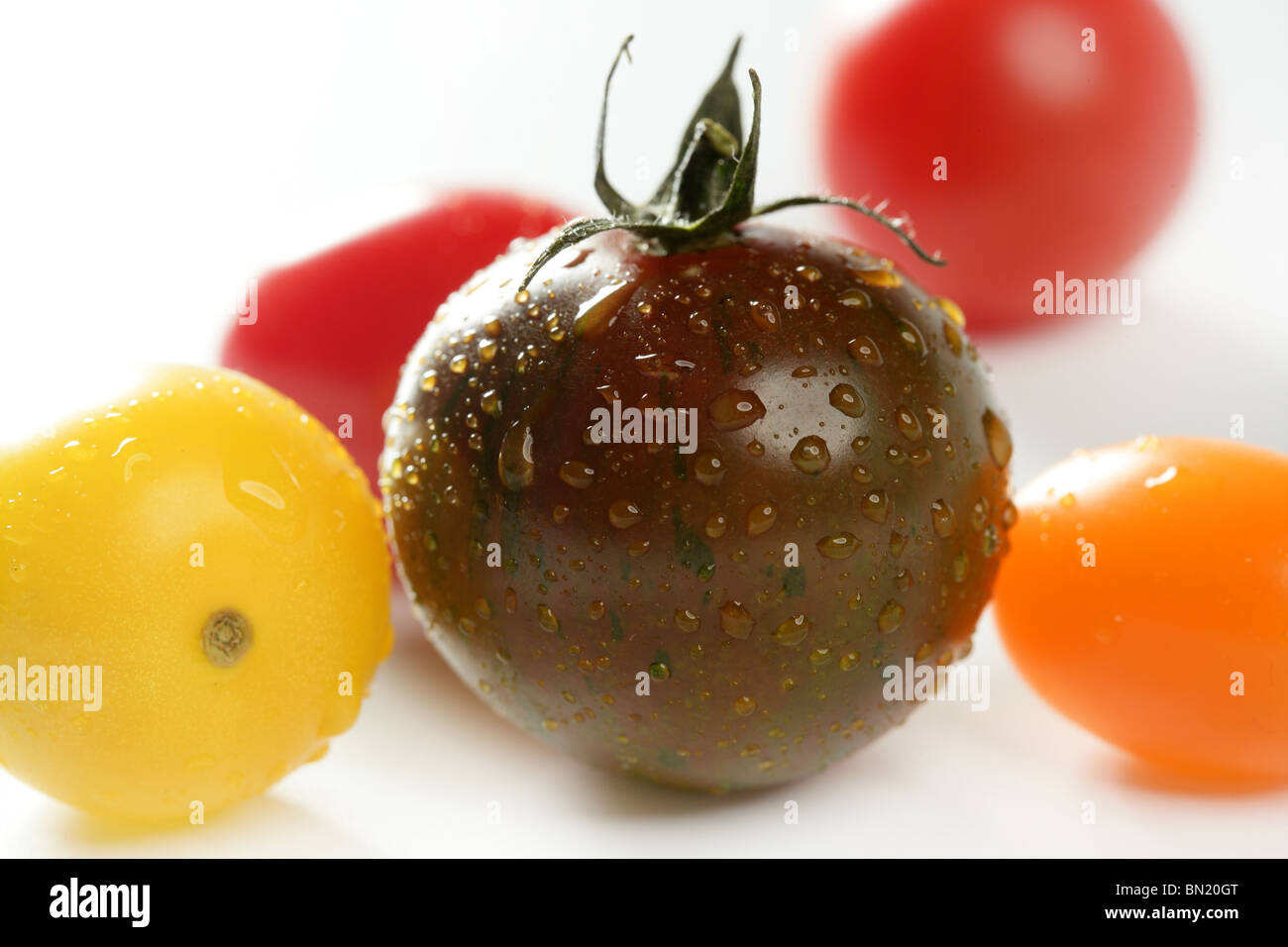 Little cherry varied multi color tomatoes, at studio, white background ...