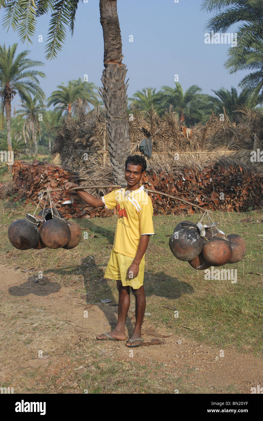 A boy is taking pots of khejur sap to make khejur-gud Stock Photo - Alamy