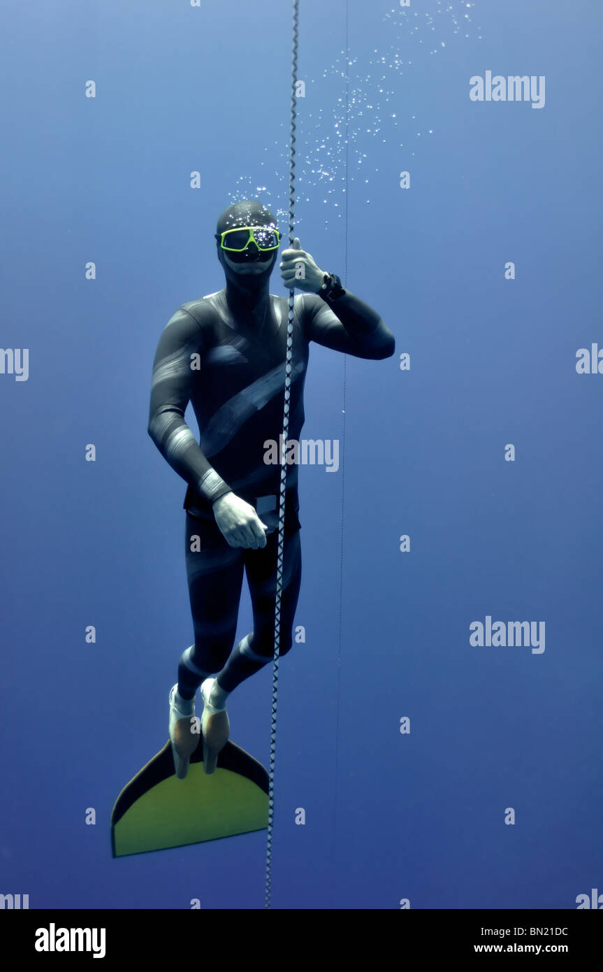 Freediving technique hi-res stock photography and images - Alamy