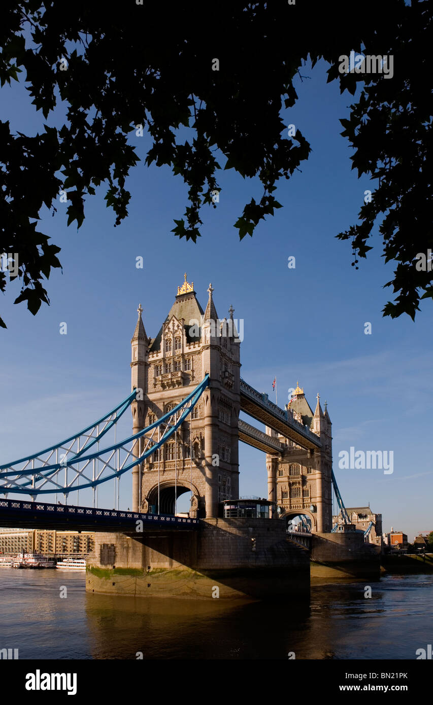 Tower Bridge in early morning light, London, Britain,UK Stock Photo - Alamy