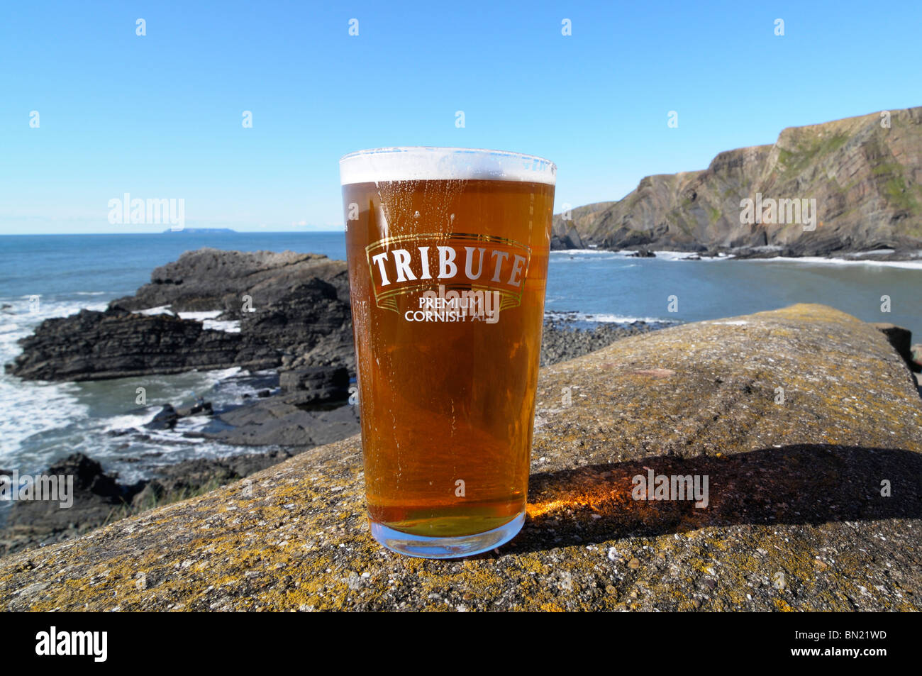 A pint of St Austell brewery's 'Tribute' ale Stock Photo - Alamy