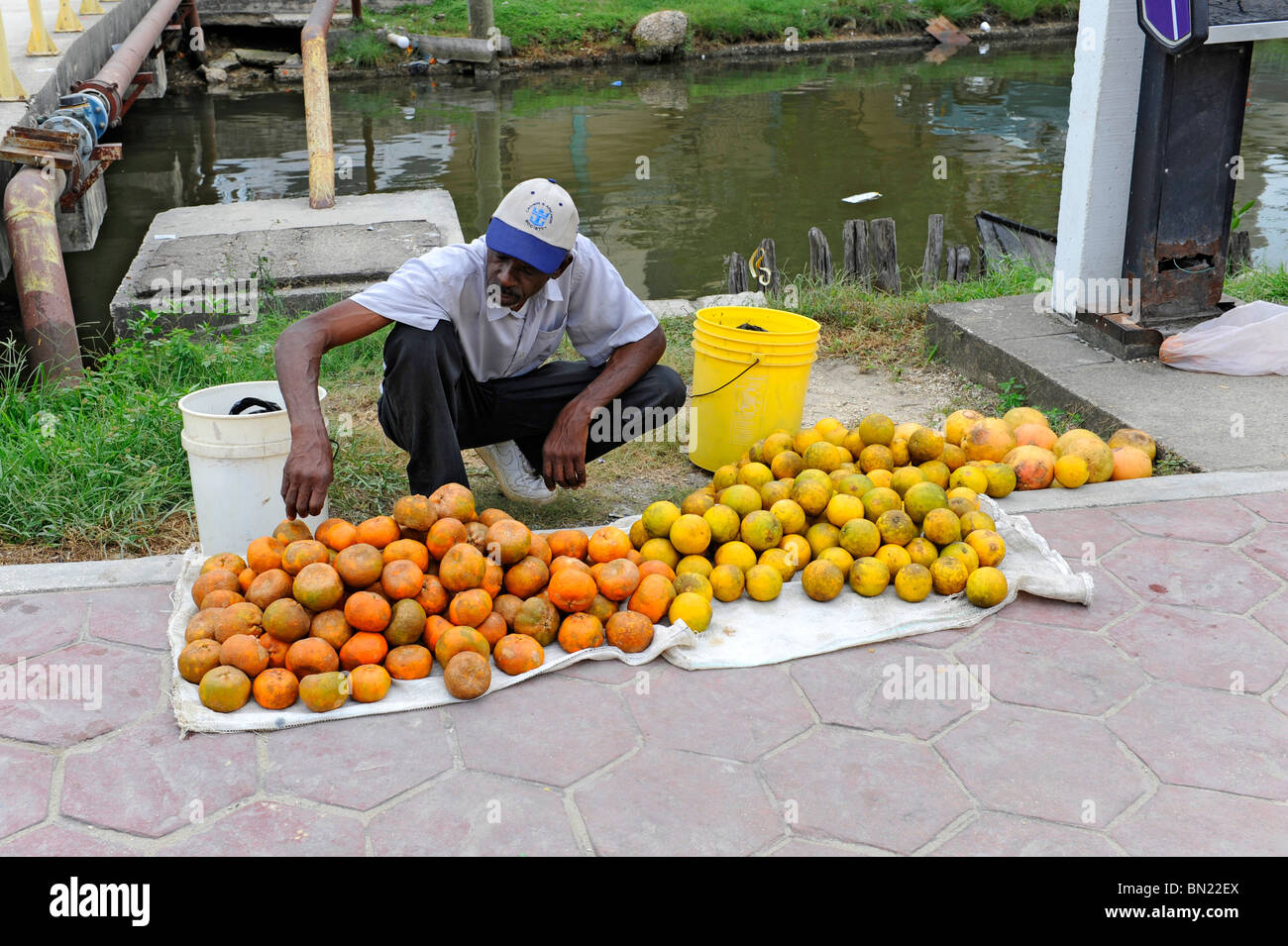 Local vendor displays citrus fruit for sale near Caribbean Cruise ship ...