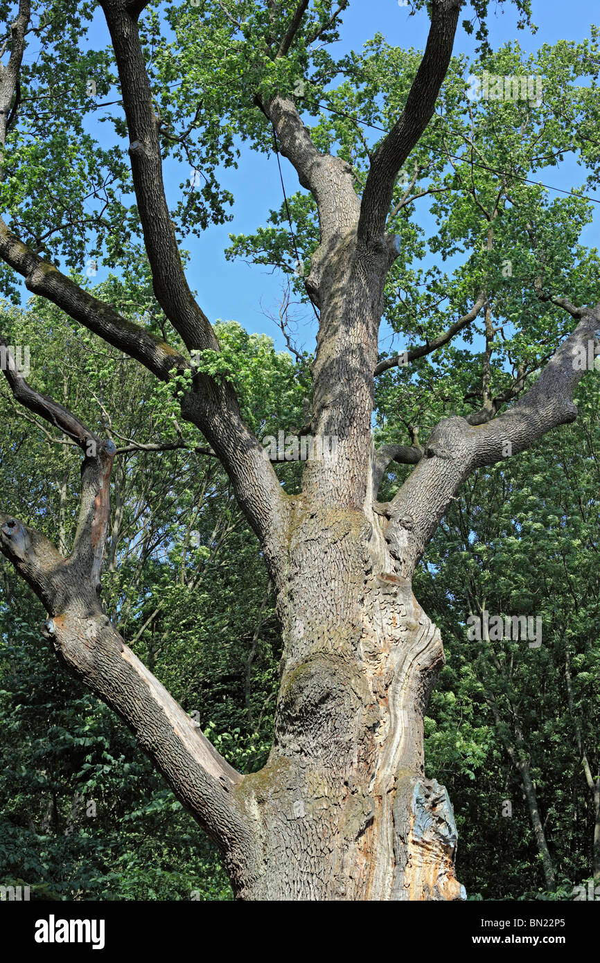 2000 years hi-res stock photography and images - Alamy